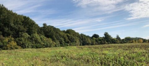 Snowden Farm | Chesapeake Conservation Partnership