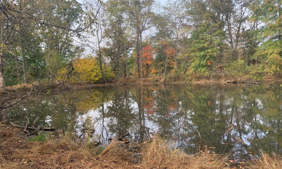 Hillsboro Road Easement | Chesapeake Conservation Partnership
