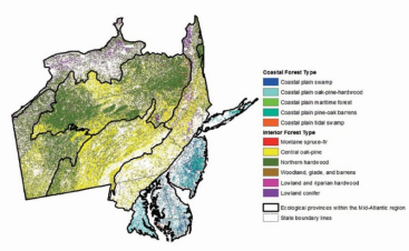 Changes to Mid-Atlantic Forests as Climate Warms | Chesapeake ...